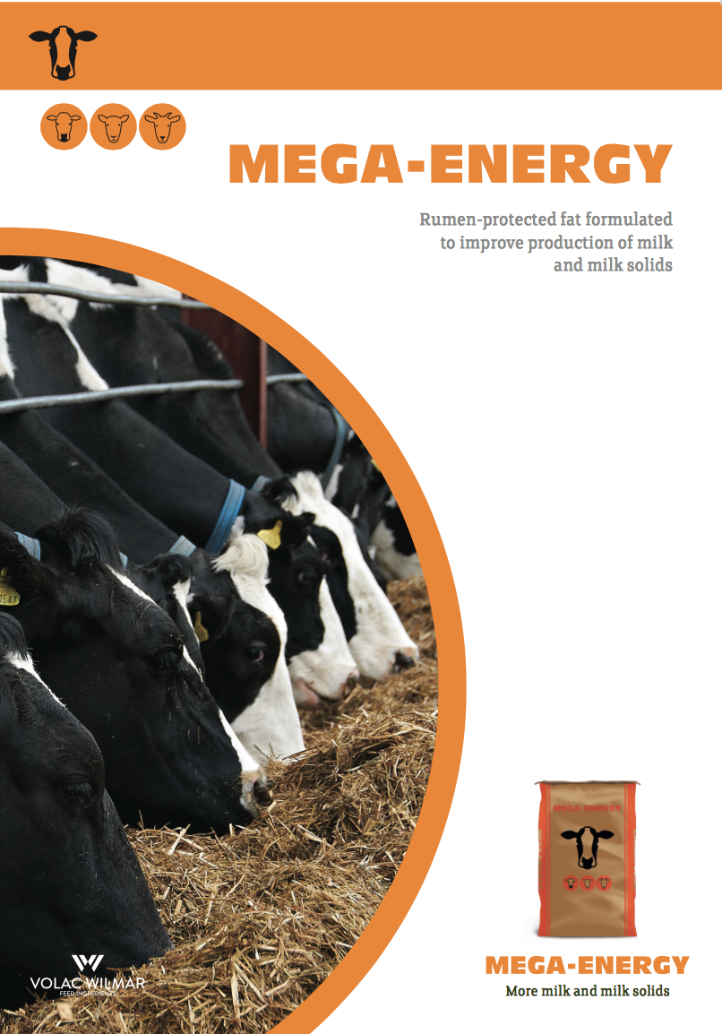 Mega-Energy