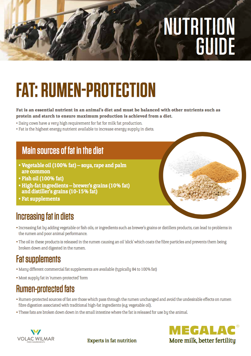 Nutrition Guide - Fat: Rumen Protection