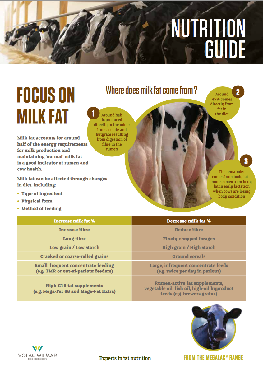Nutrition Guide - Focus on milk fat