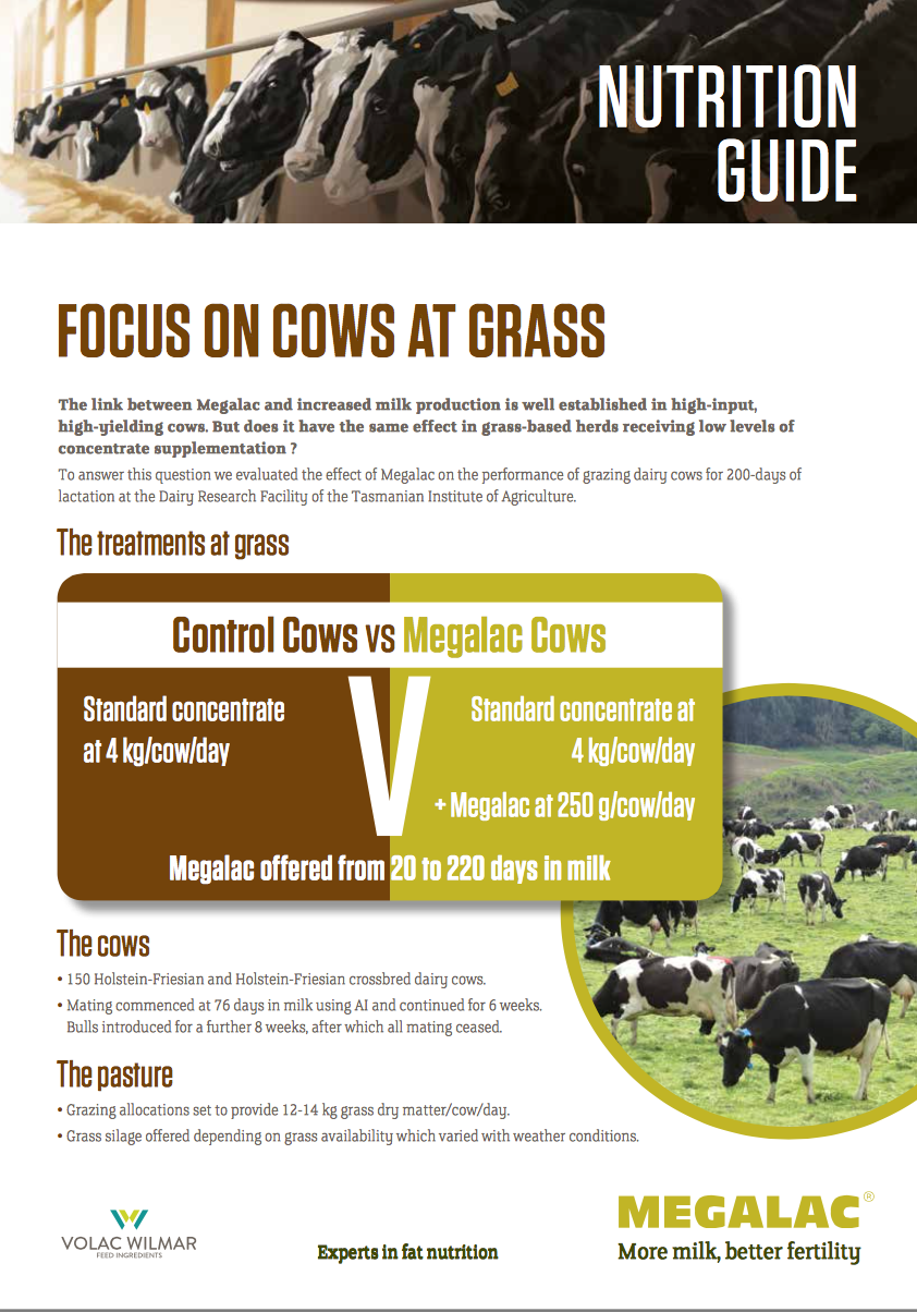 Nutrition Guide - Focus on Cows at Grass