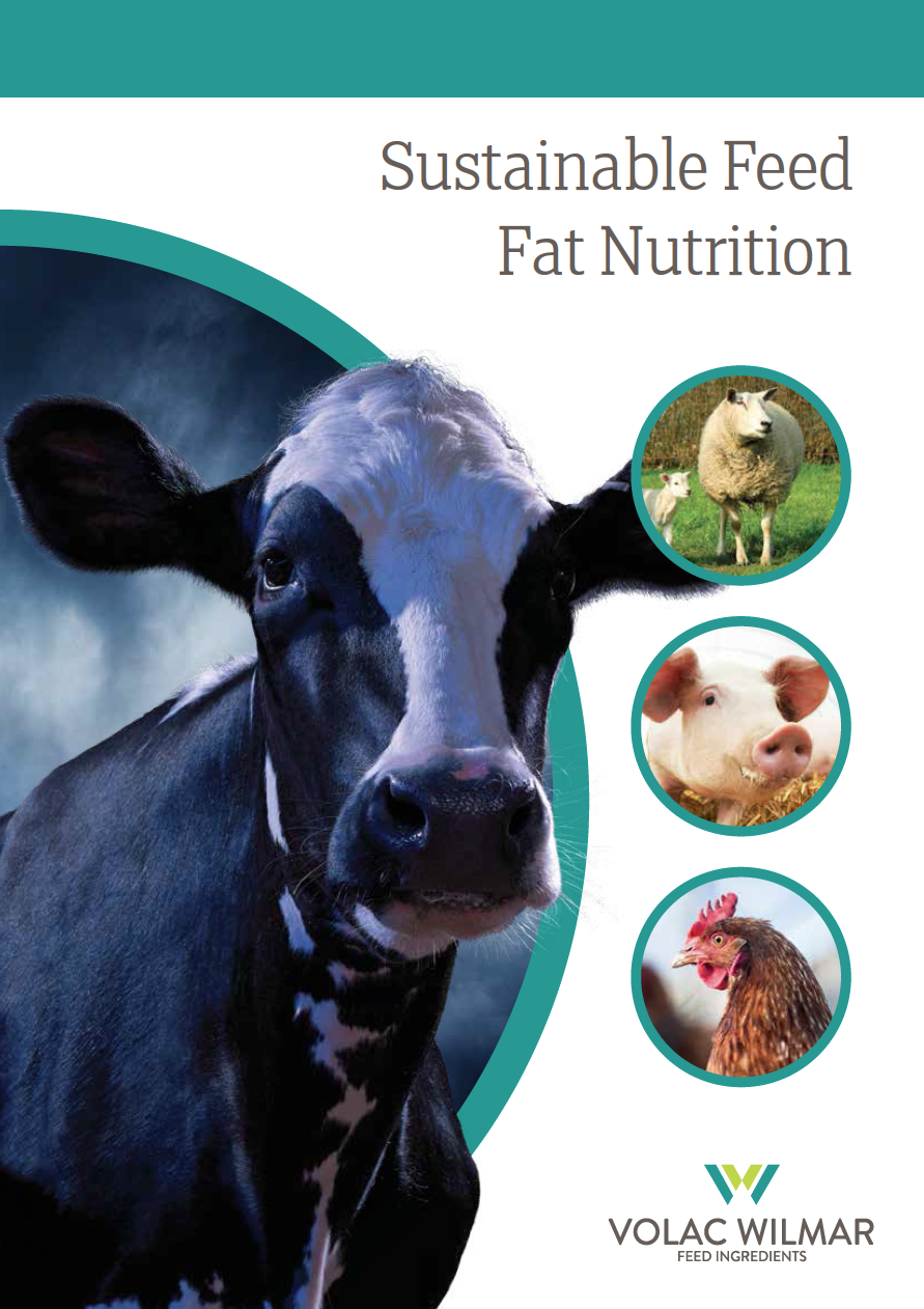 Sustainable Feed Fat Nutrition