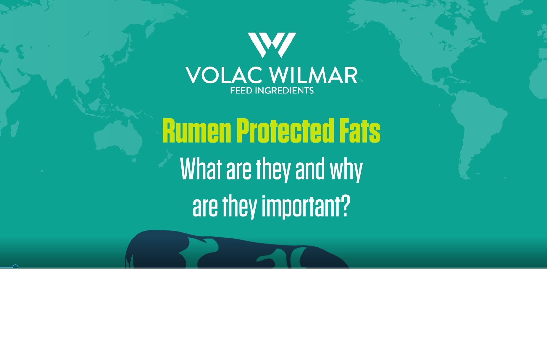 Watch: What are rumen-protected fats and why are they important?