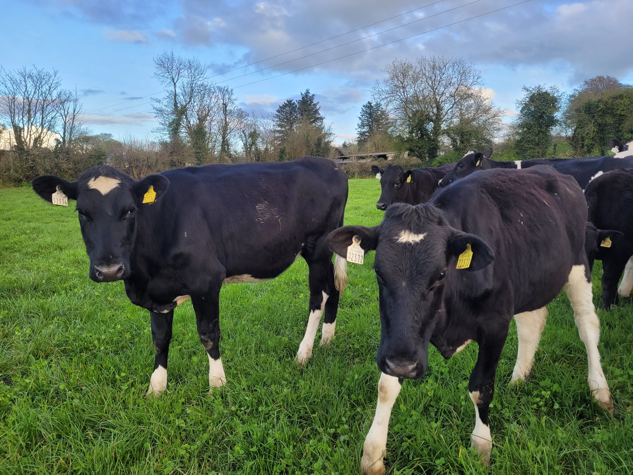 8 farming accounts you should be following on Twitter