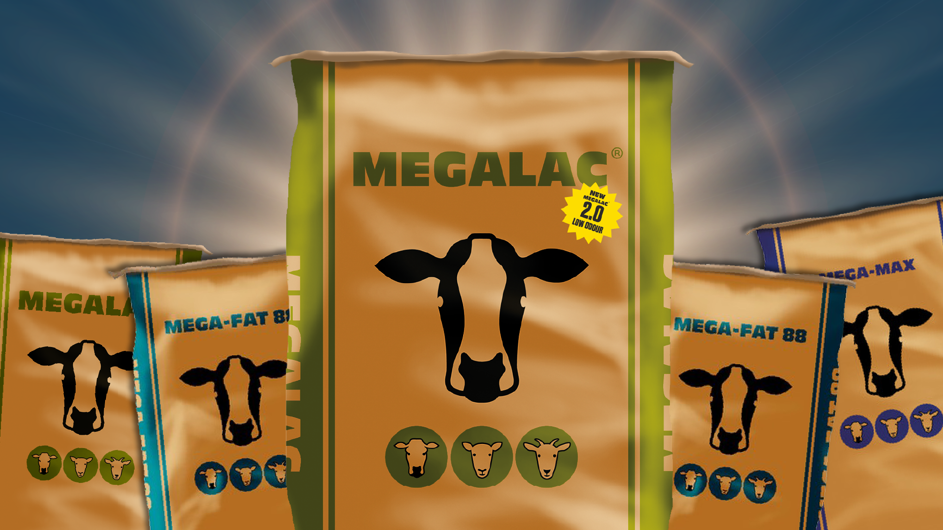 The Megalac Legacy: Four Decades of Leading Change